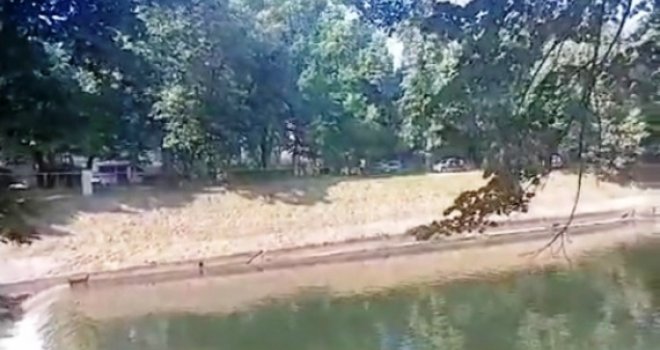 Novi detalji horora na Vilsonovom šetalištu: Poznato ko je ubijen, a ko ... Novi detalji horora na Vilsonovom šetalištu: Poznato ko je ubijen, a ko ...